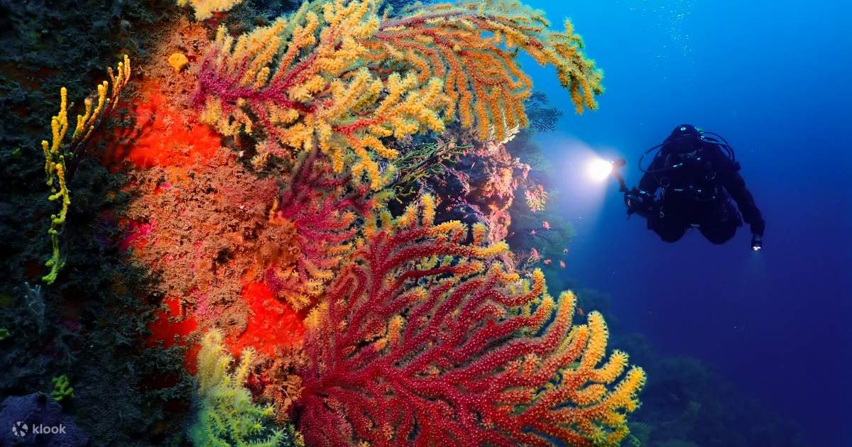 加泰隆尼亞 Padi 高能量空氣潛水員與 Padi 5 星級 Cdc Klook香港